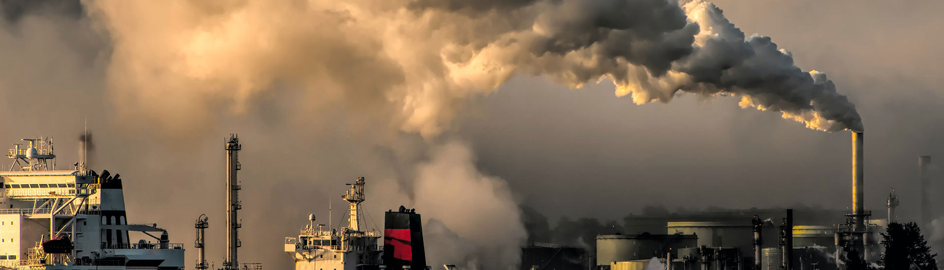 Carbon Neutrality 101 - Fight Climate Change | agood company