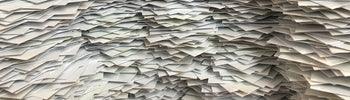 How is Paper Made from Trees? | agood company